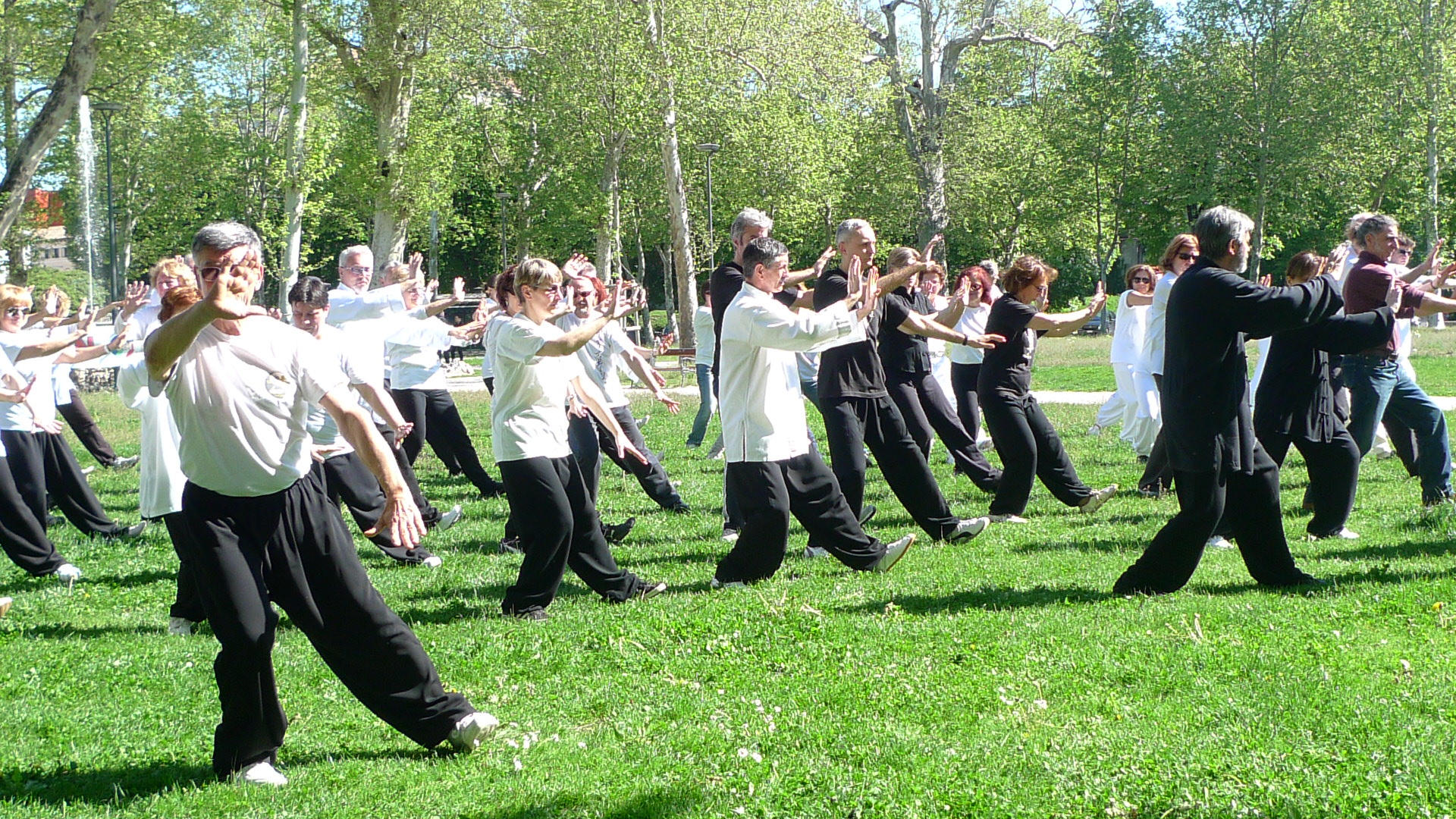 Qi Gong You Know That Exercise Thingie You See People Doing In The Qi Gong You Know That Exercise Thingie You See People Doing In The